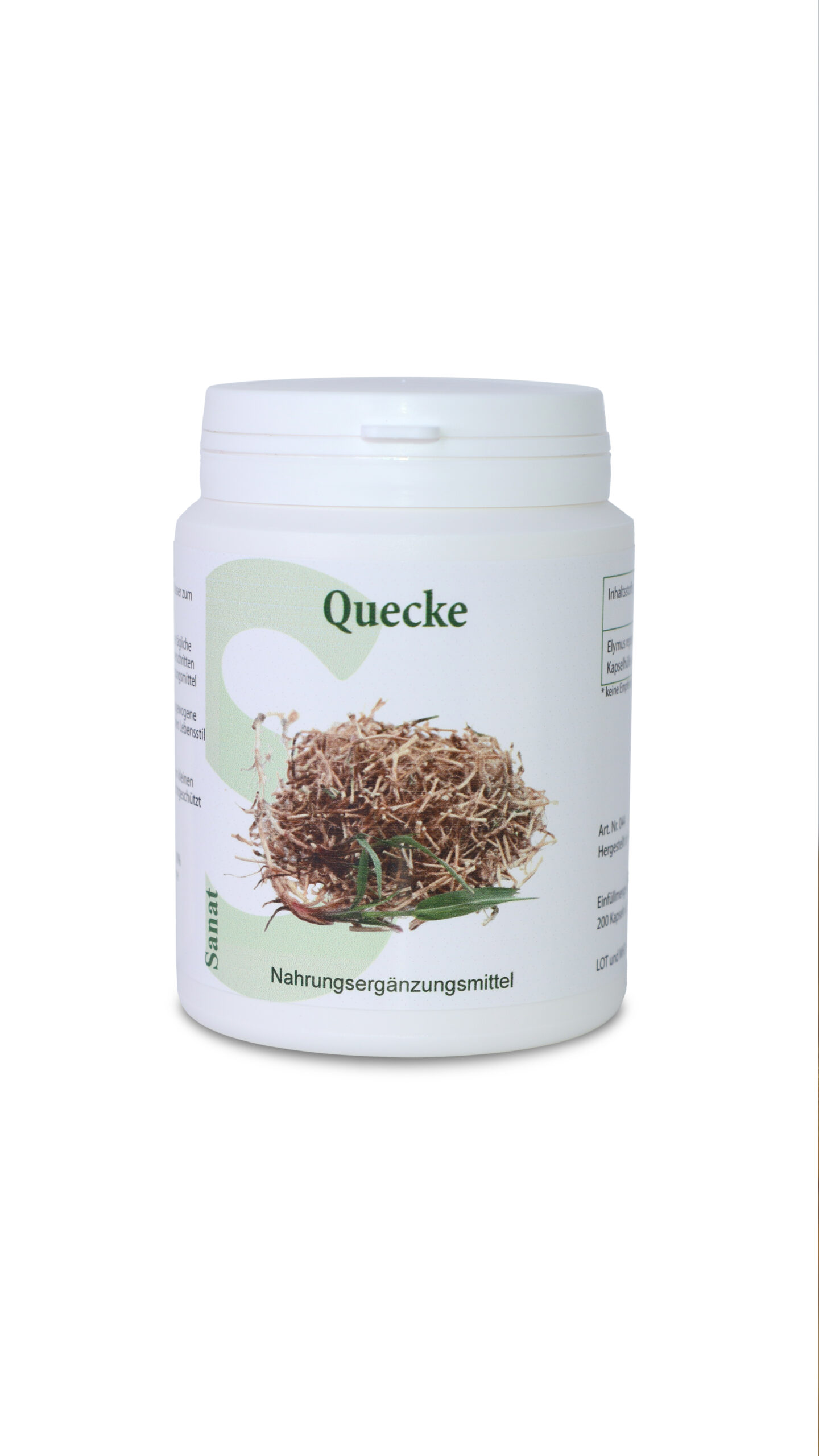 Quecke - Sanat International