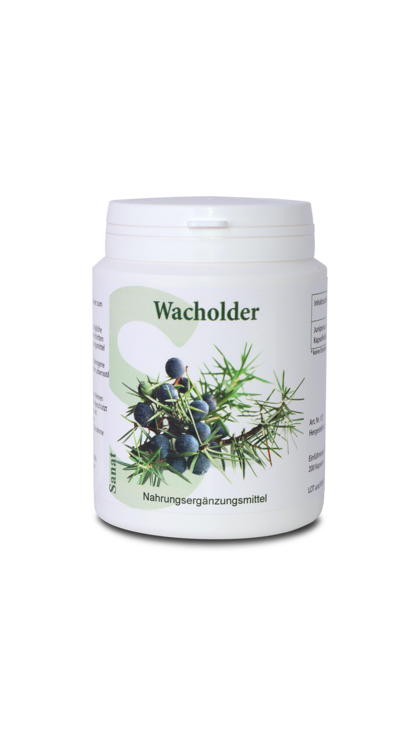 Wachholder - Sanat International