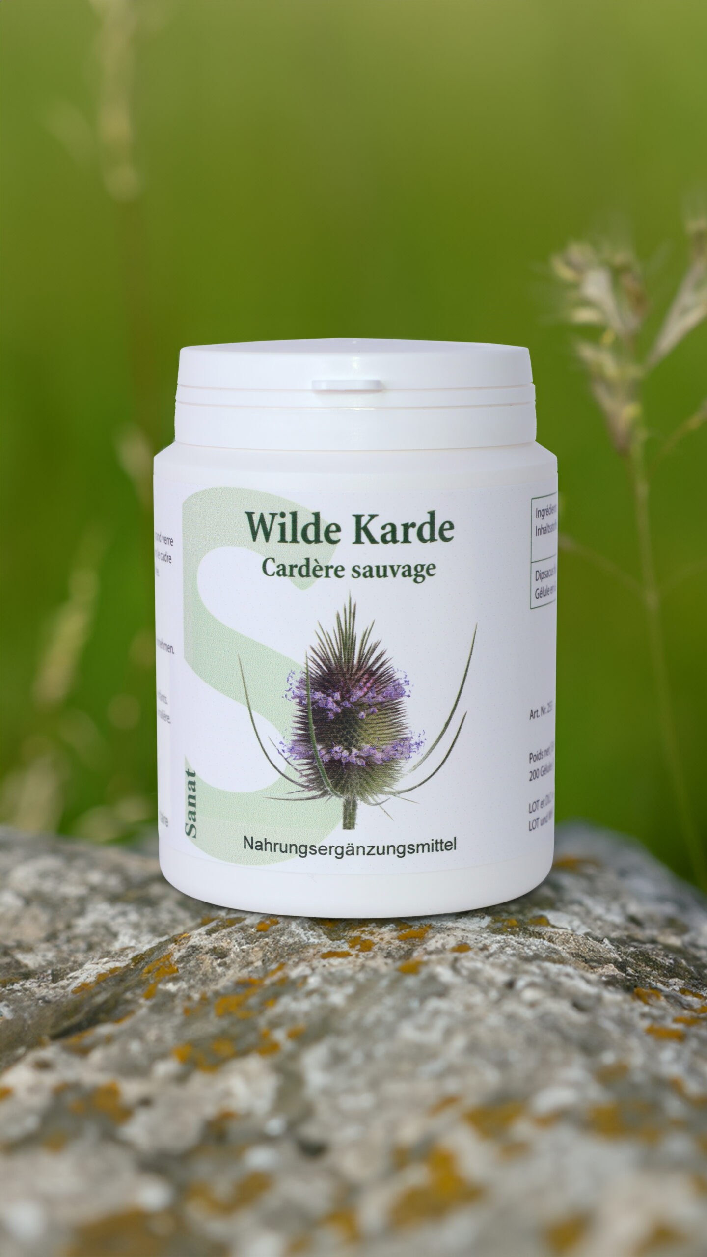 Karde - wilde Karde - Sanat International